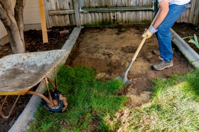 Expert Sod Removal Services for a Healthier, Greener Lawn